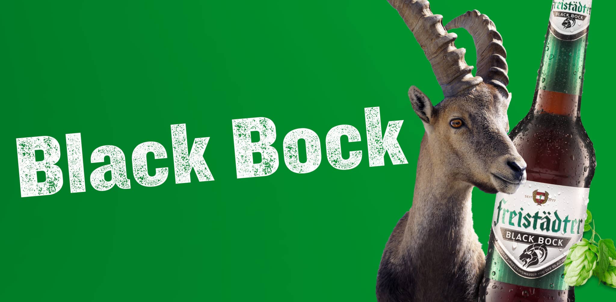 News & Events - Freistädter Bier